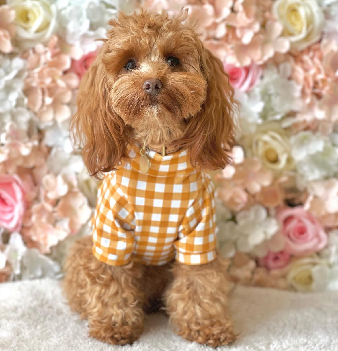 Mustard Gingham – Koko Kapoochie