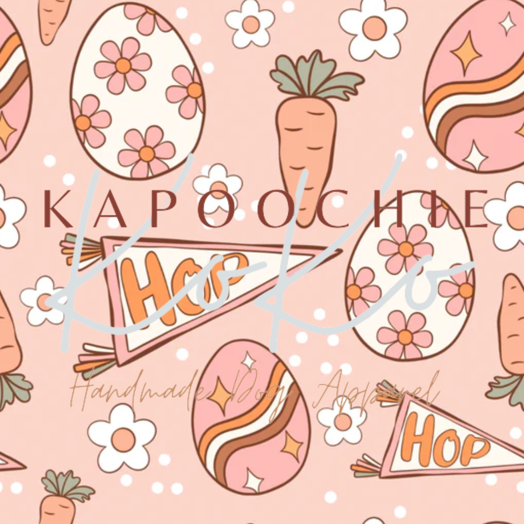 Hopping Cute Sweater – Koko Kapoochie