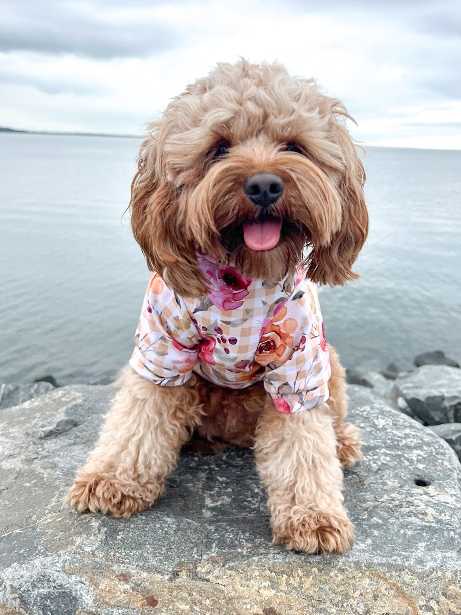 Mustard Gingham & Floral – Koko Kapoochie