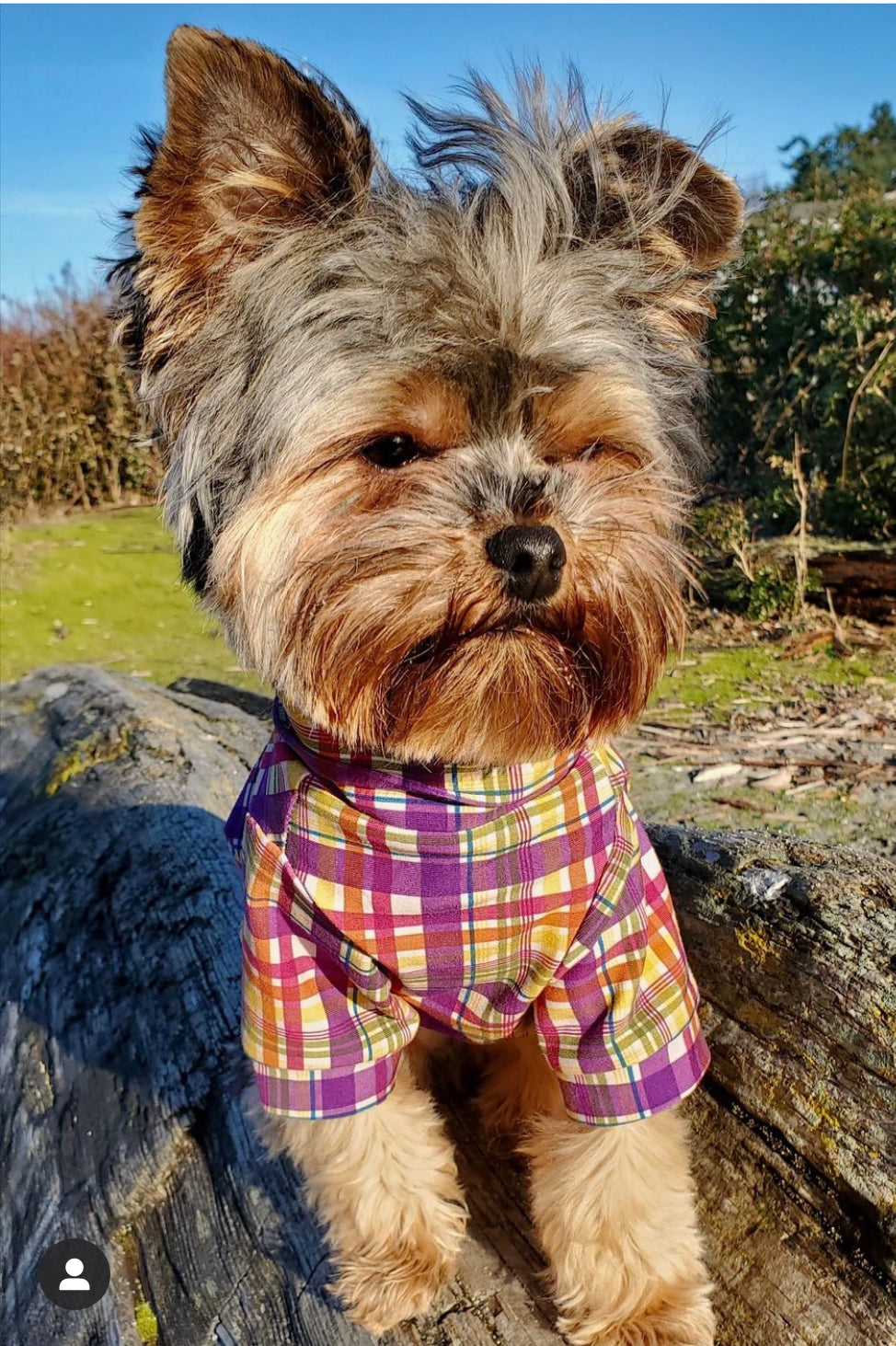 Purple Plaid Turtleneck Sweater – Koko Kapoochie