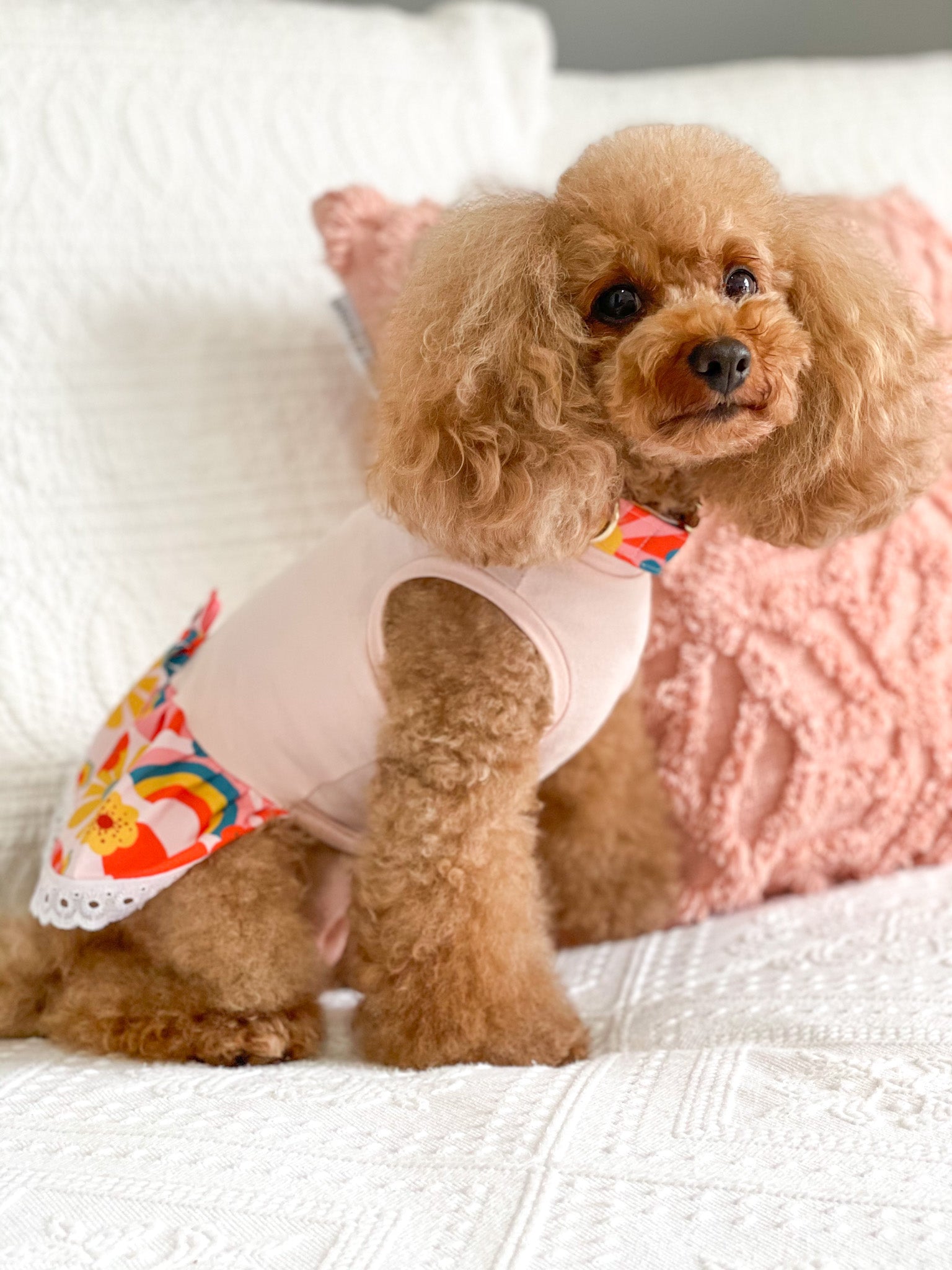 "Candy" Dress – Koko Kapoochie