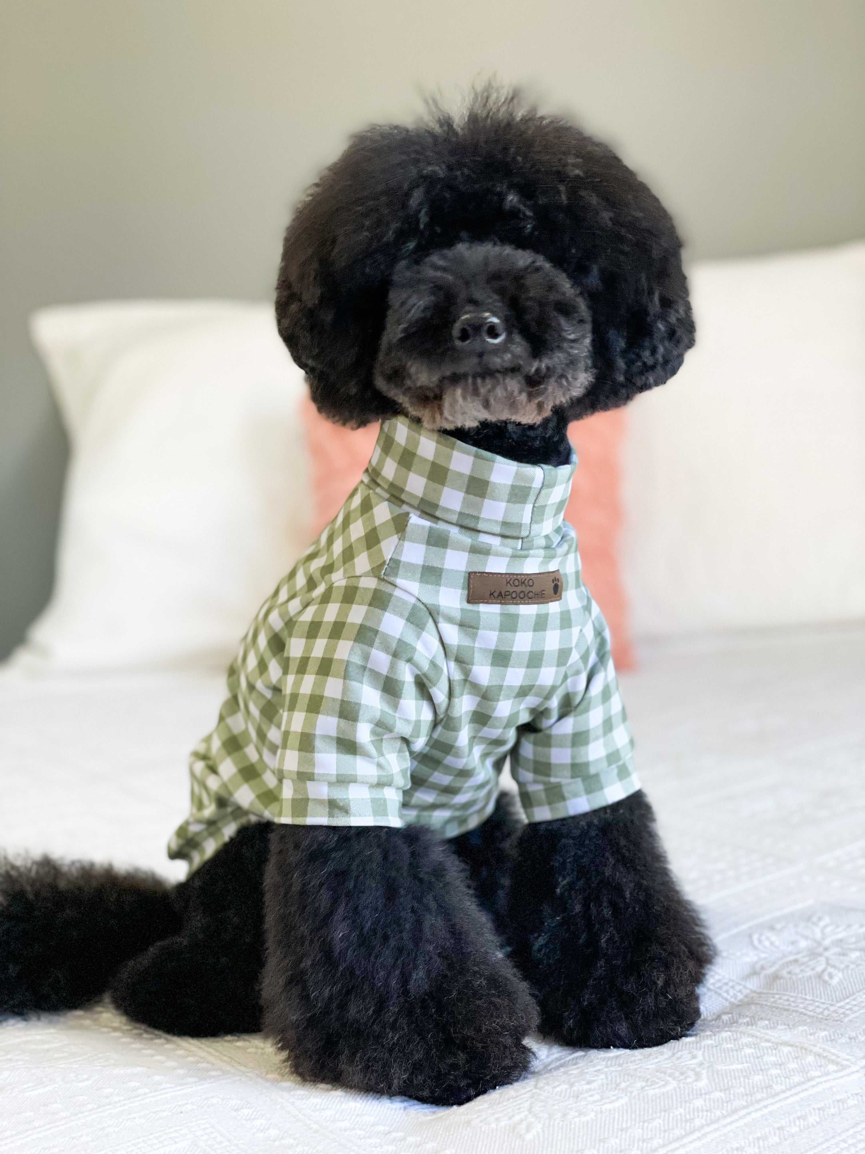 Sage Gingham Sweater – Koko Kapoochie